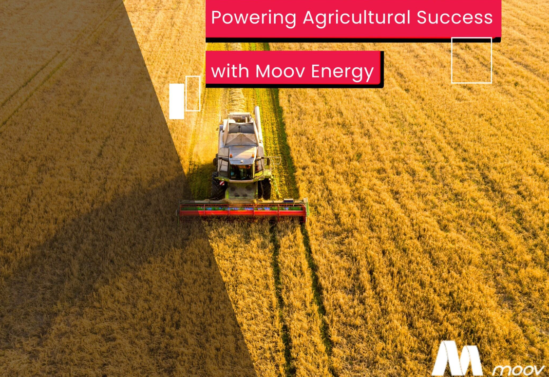 Powering Agricultural Success with Moov Energy | Moov Energy